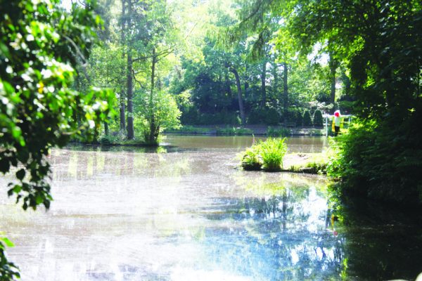 ‘Oxygen crash’ forces Congleton fishing pool to close | Congleton ...