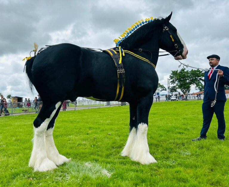 Congleton | Congleton Chronicle Series