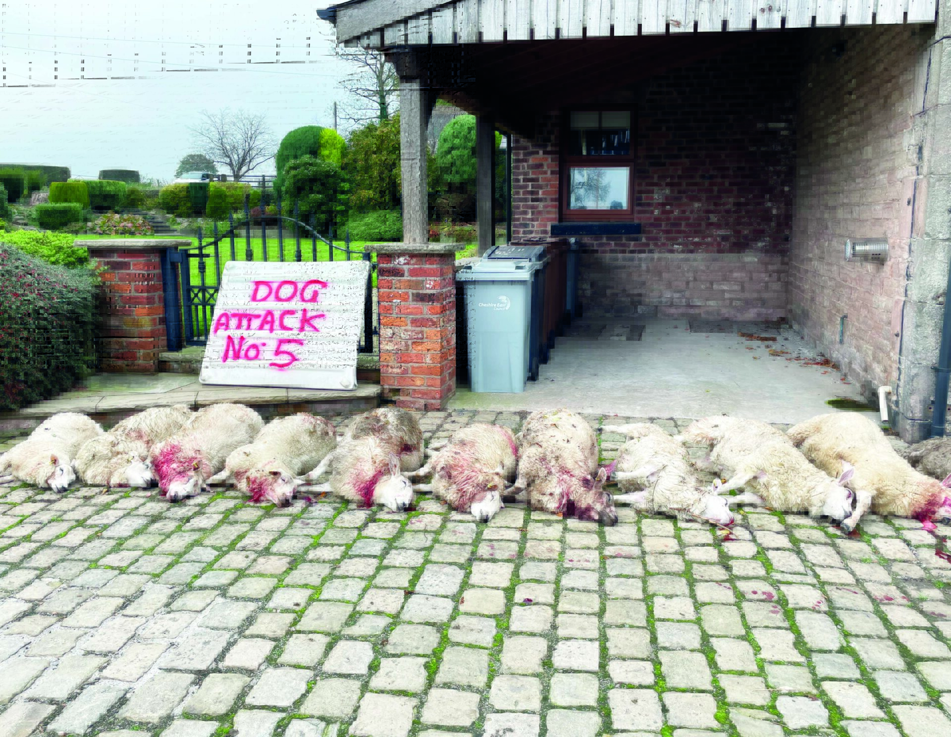 New law protecting farm animals over last hurdle | Congleton Chronicle ...